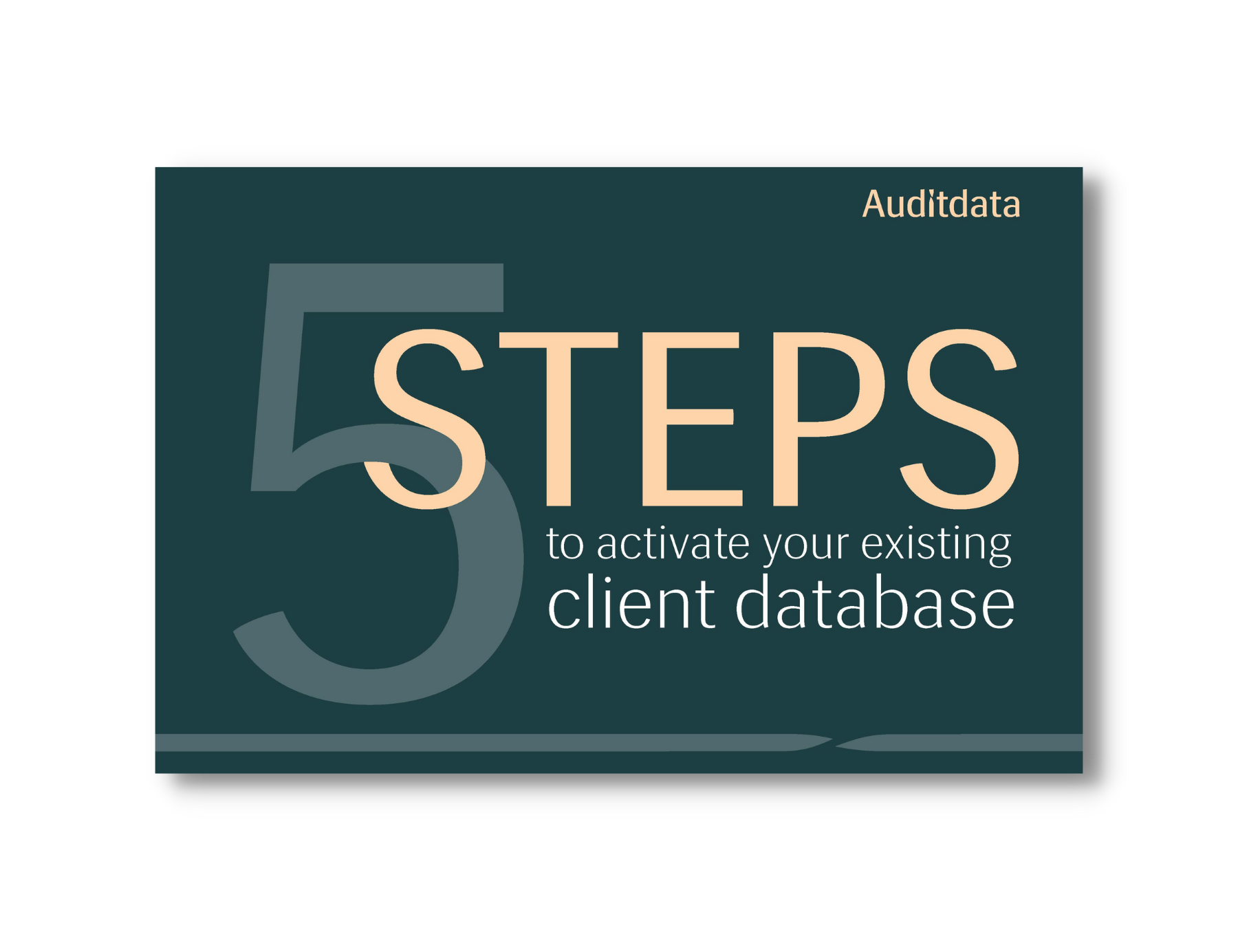 5 steps to activate your existing client database - Auditdata