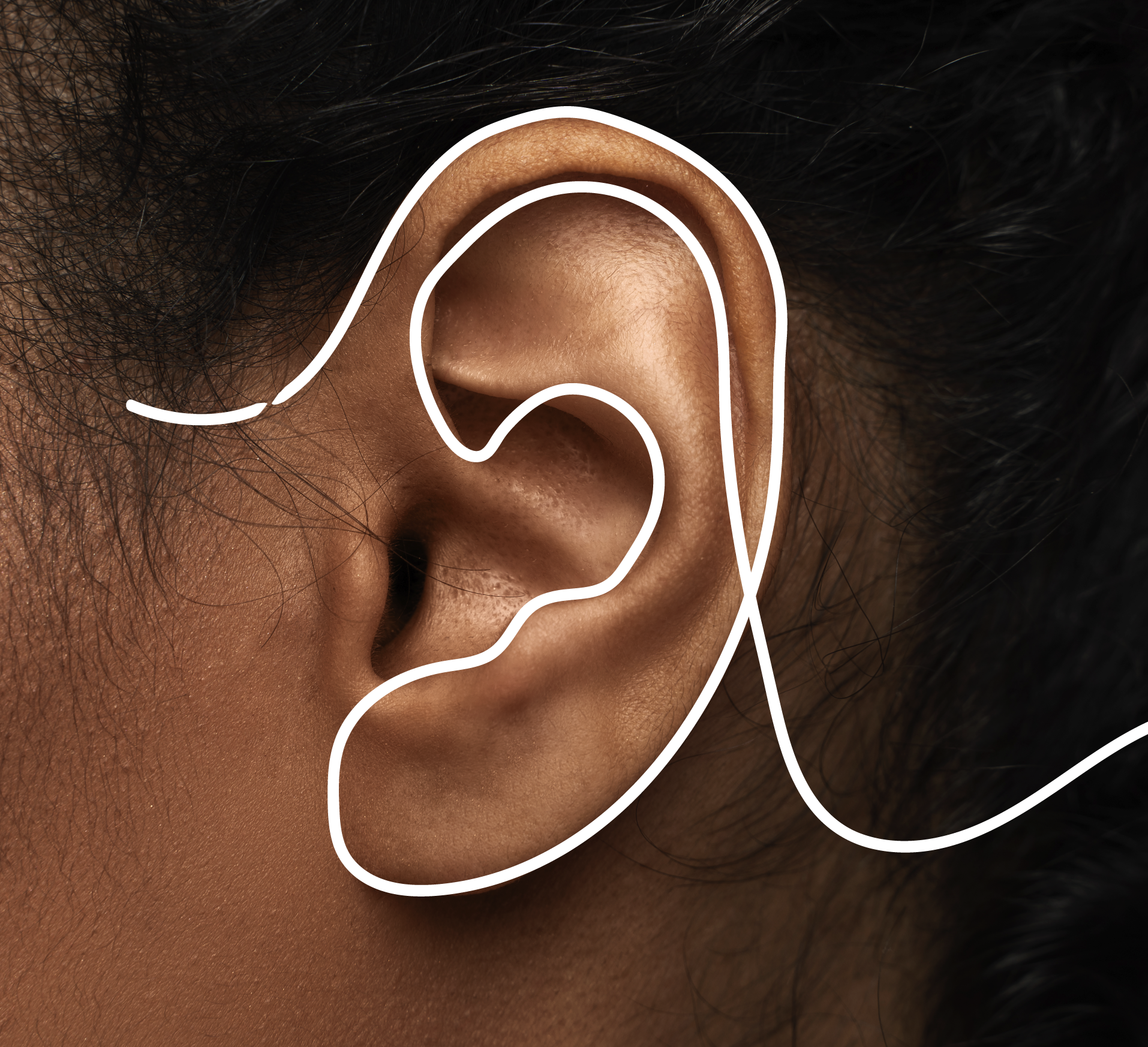 Get Started w/ Auditdata Audiology Solutions & Software - Auditdata